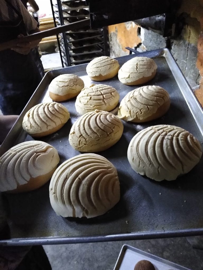 CURSO CONCHAS GOURMET | Mozartina Pastelería